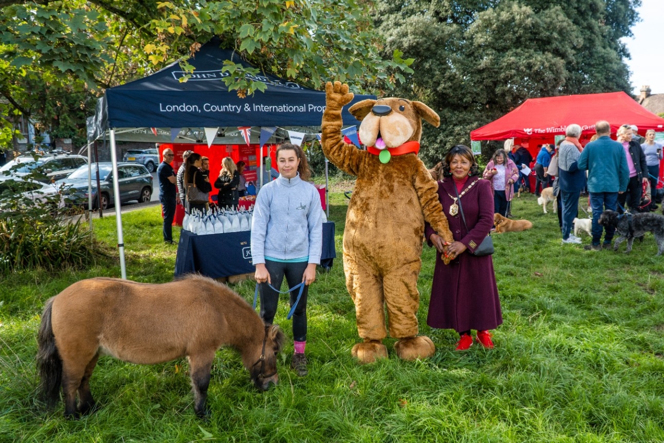 Wimbledon Guild Waggy Walk